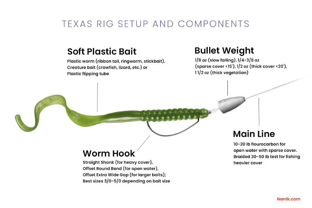 Texas Rig Fishing Techniques and Gear – Best Rod and Reel Combos